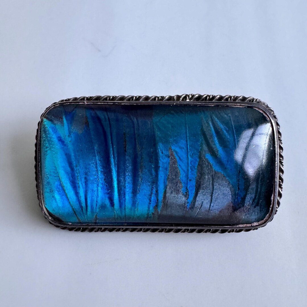 Edwardian UK Denton Butterfly Wing Brooch / Pendant in Silver Frame - Etsy