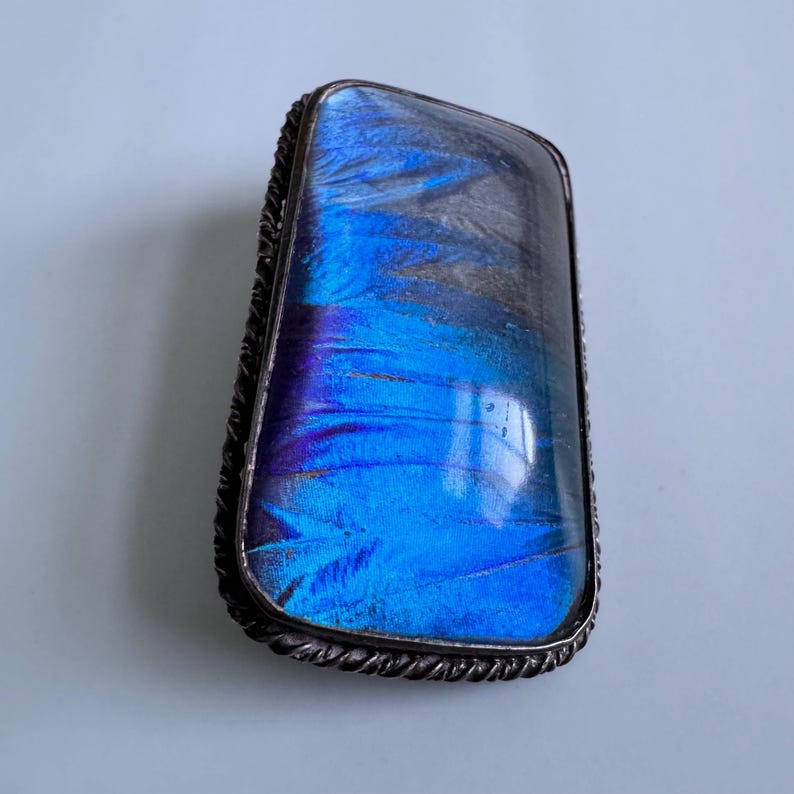 Edwardian UK Denton Butterfly Wing Brooch / Pendant in Silver Frame - Etsy