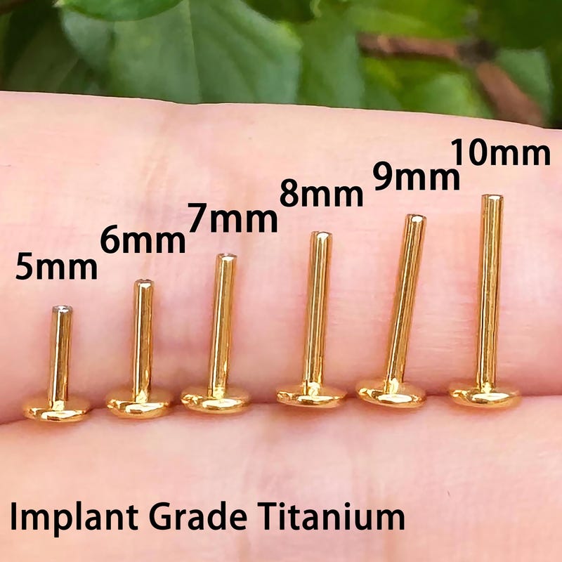 14g Flat Back Conch - Etsy