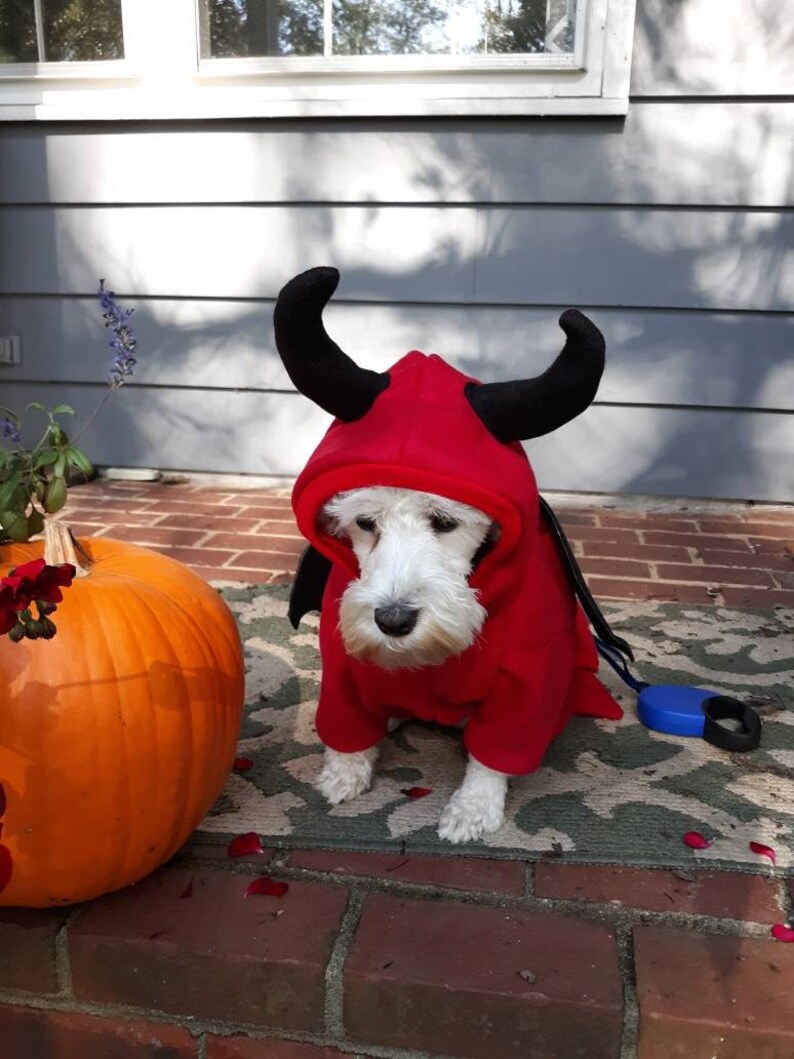 Devil Dog Costume | Devil Pet Costume | Dog Halloween Costume | Devil ...