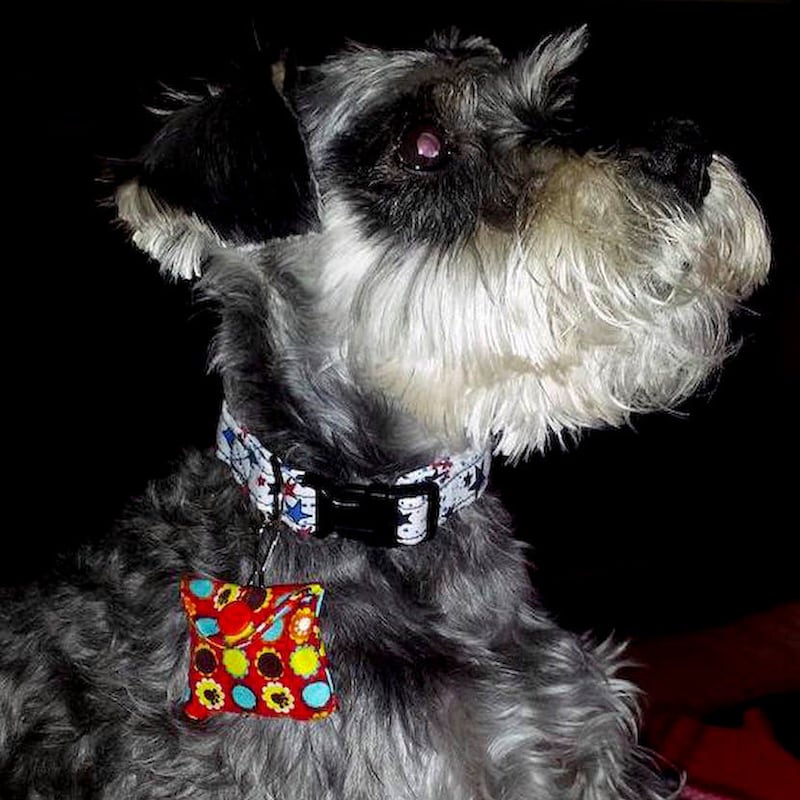 Dog Tag Silencer - Etsy