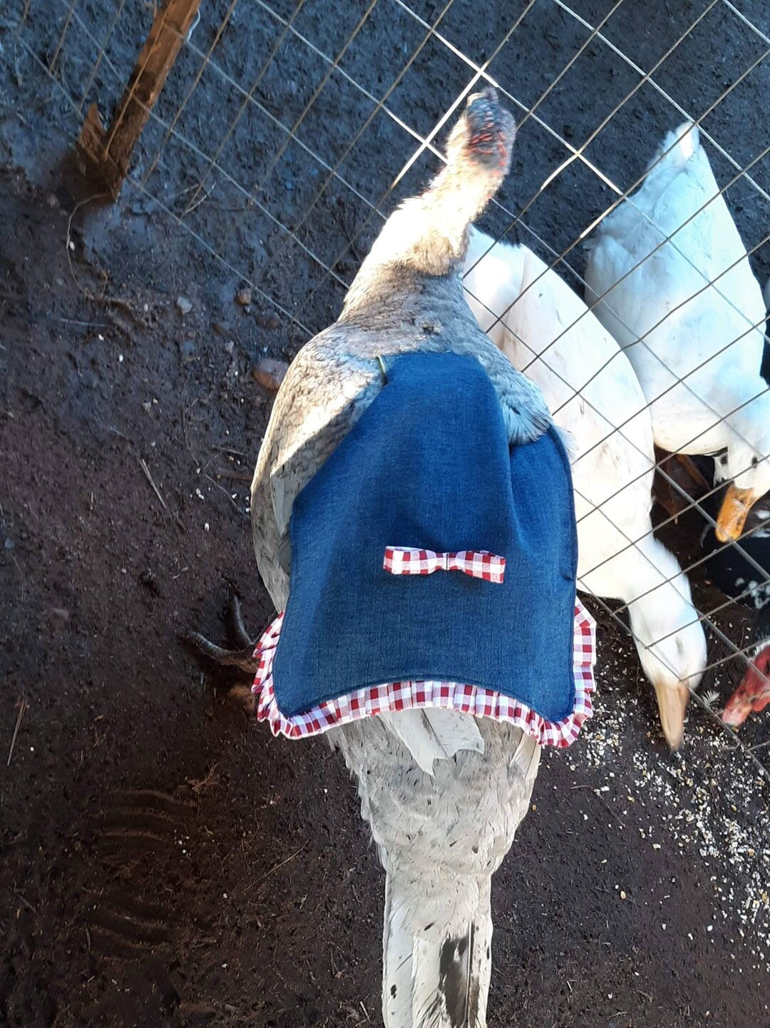 TURKEY Saddle | Turkey Hen Apron | Turkey Hen Back Saver - Etsy