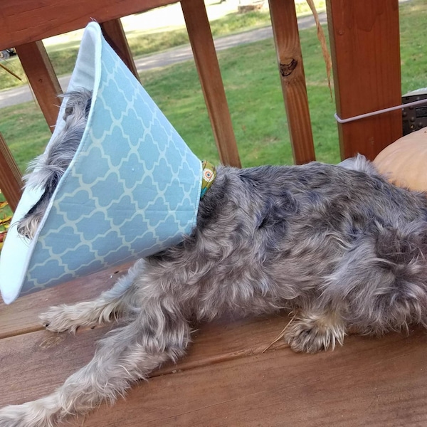 Dog With E Collar - Etsy