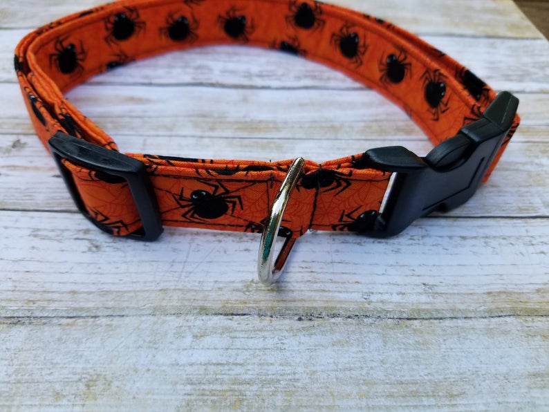 Orange Spider Dog Collar Halloween Dog Collar Halloween - Etsy