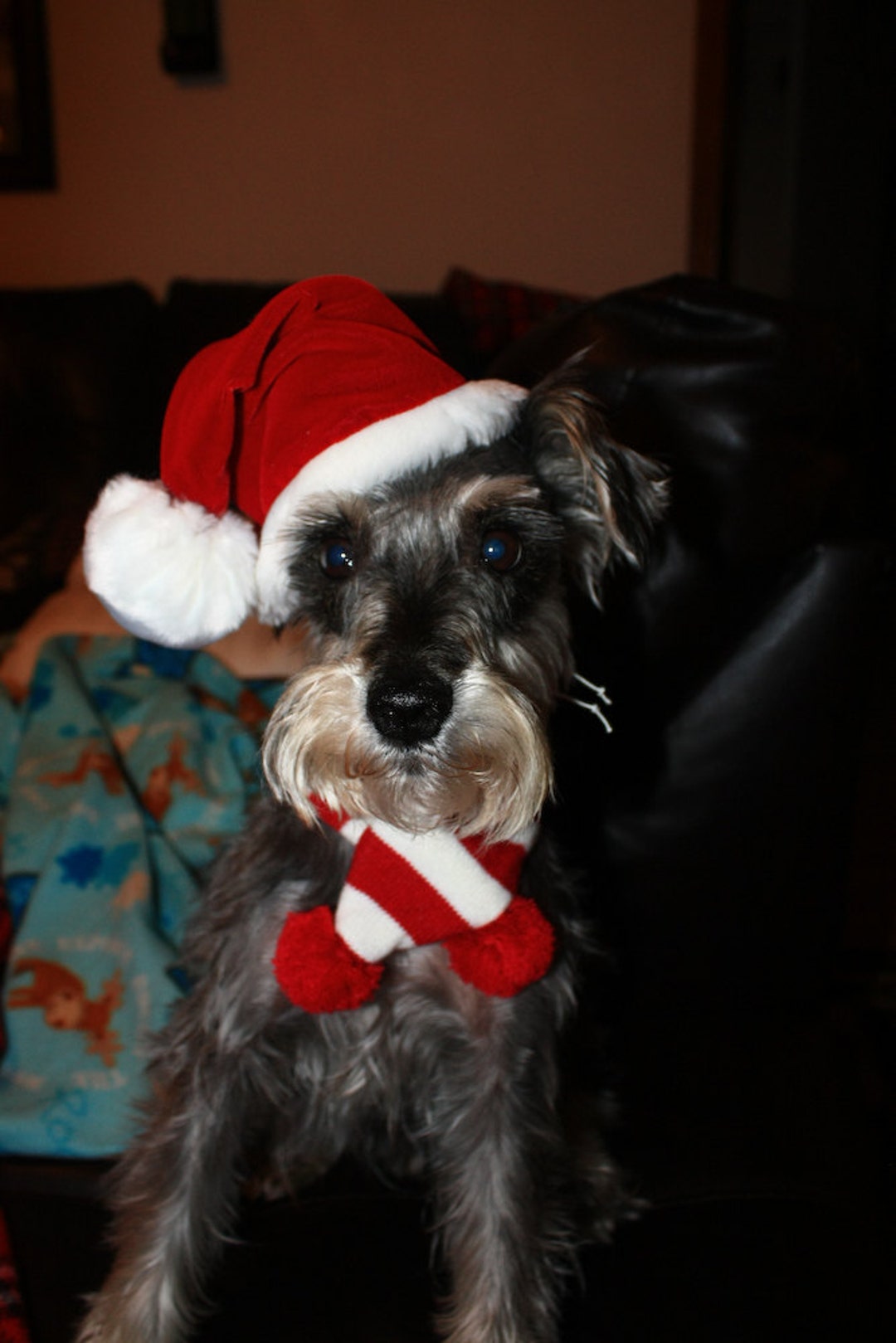 Dog Santa Hat, Cat Santa Hat, Pet Santa Christmas Hat, Holiday Santa ...