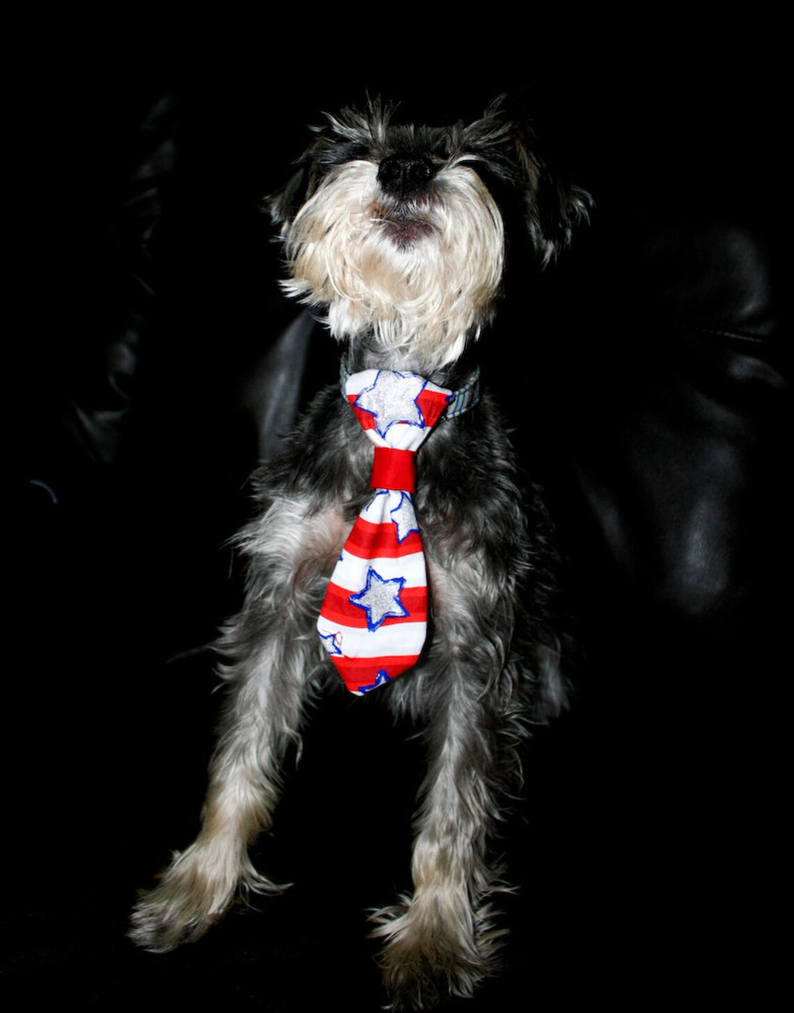 Pet Dog Neck Ties Bow Tie Slide on Collar - Etsy
