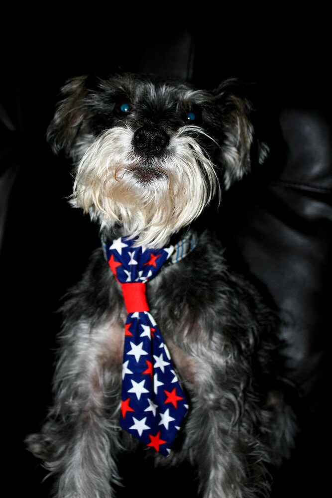 Pet Dog Neck Ties Bow Tie Slide on Collar - Etsy