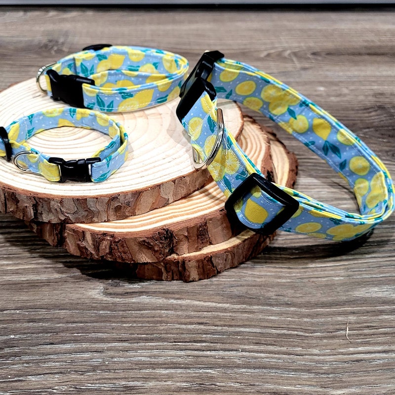 Spring Dog Collar - Etsy