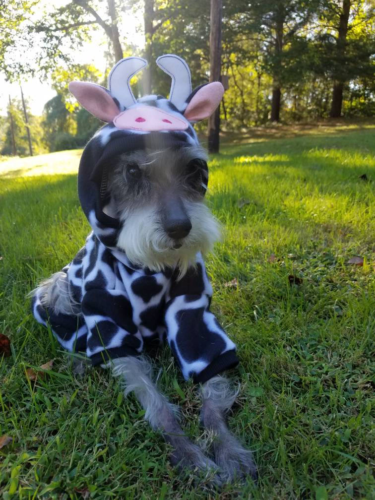 Dog Cow Costume, Pet Cow Costume Halloween Cow Bull Costume - Etsy New ...