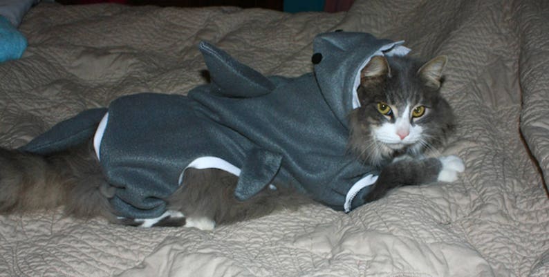 Pet Shark Outfit Hooded Pajamas - Etsy