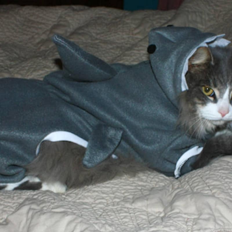 Shark Costumes for Cats - Etsy