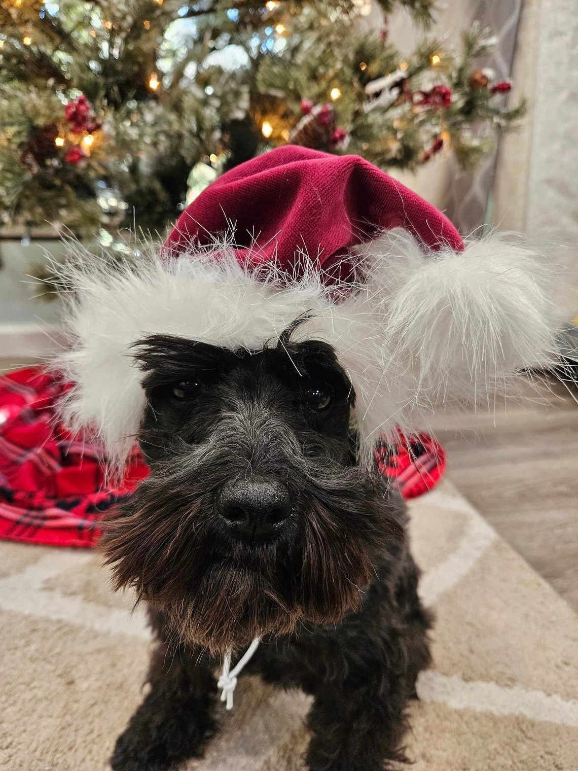 Dog Santa Hat Vintage Red , Cat Santa Hat, Pet Santa Christmas Hat ...