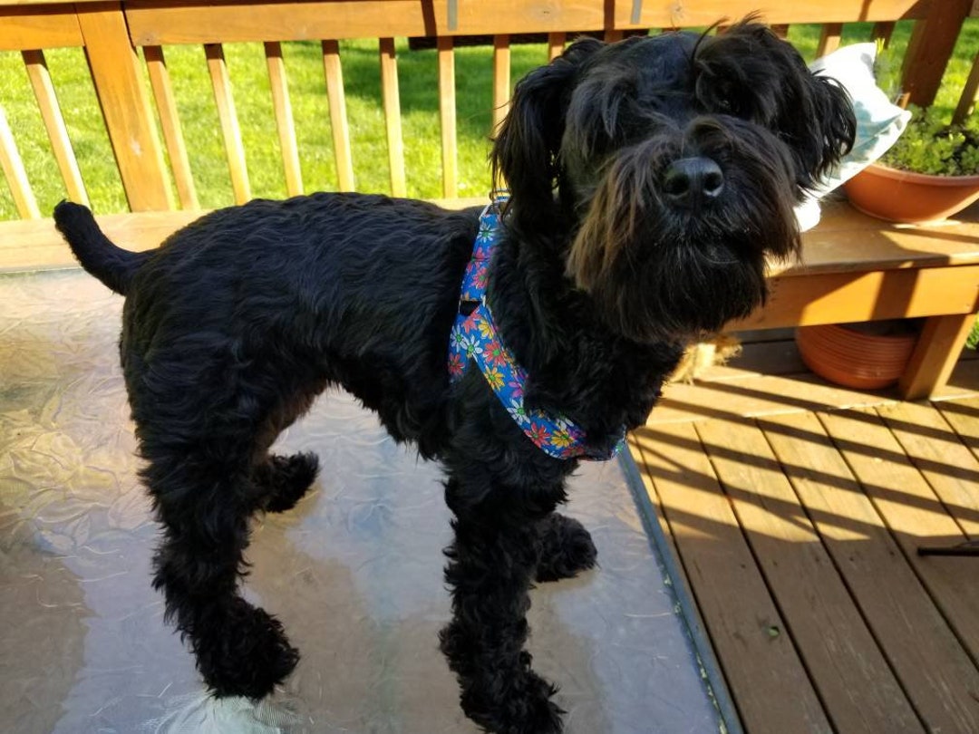 Step in Dog Harness, Easy to Put on Dog Harness, Small, Medium, Large ...