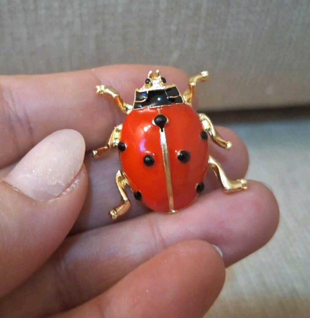 Vintage Inspired Ladybug Brooch, Insect Brooch, Original Brooches ...