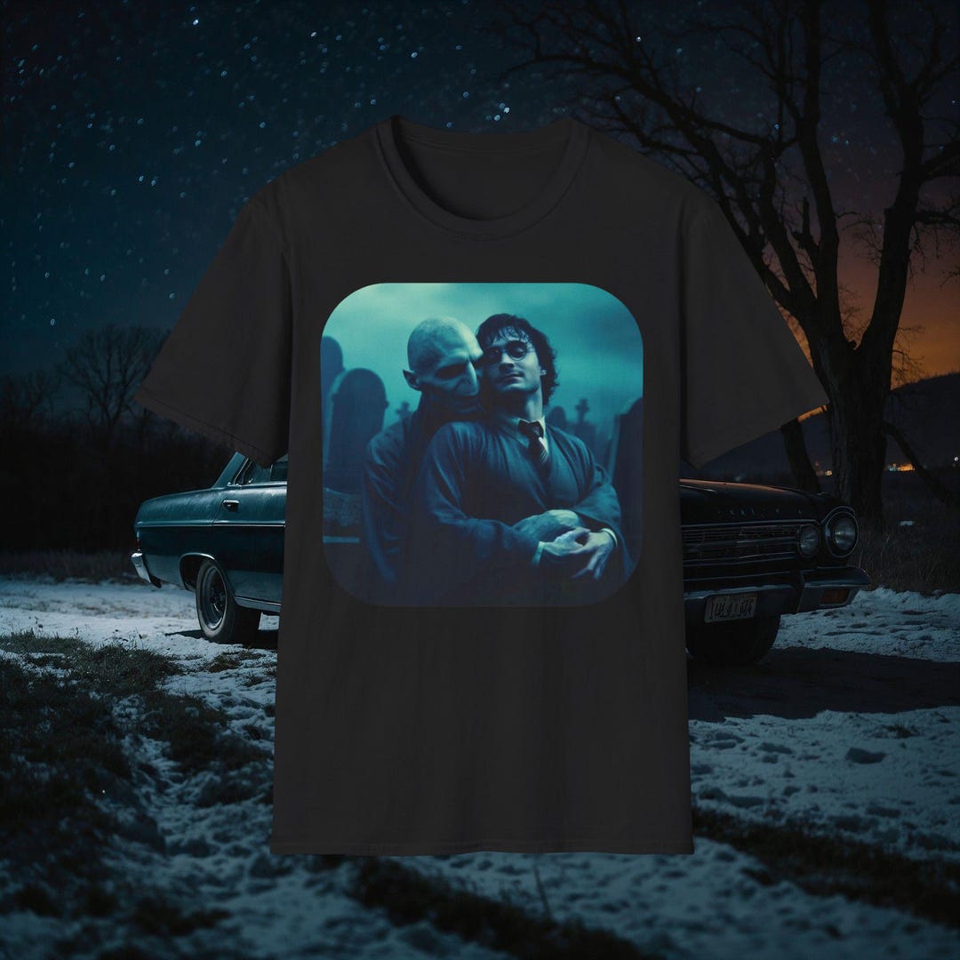 Harry Potter & Lord Voldemort Hugging T-shirt | Funny Unisex Tee ...