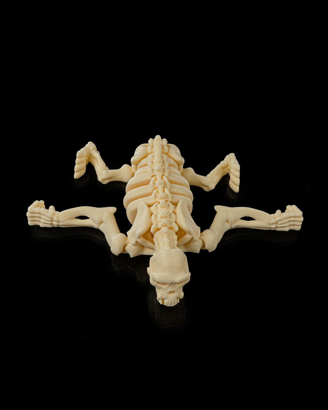 Chimpanzee Skeleton 3D Printed Articulated Toy, Keychain Skeleton Home ...