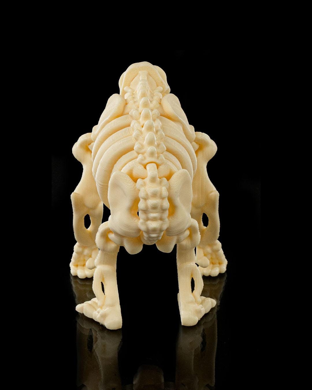 Chimpanzee Skeleton 3D Printed Articulated Toy, Keychain Skeleton Home ...