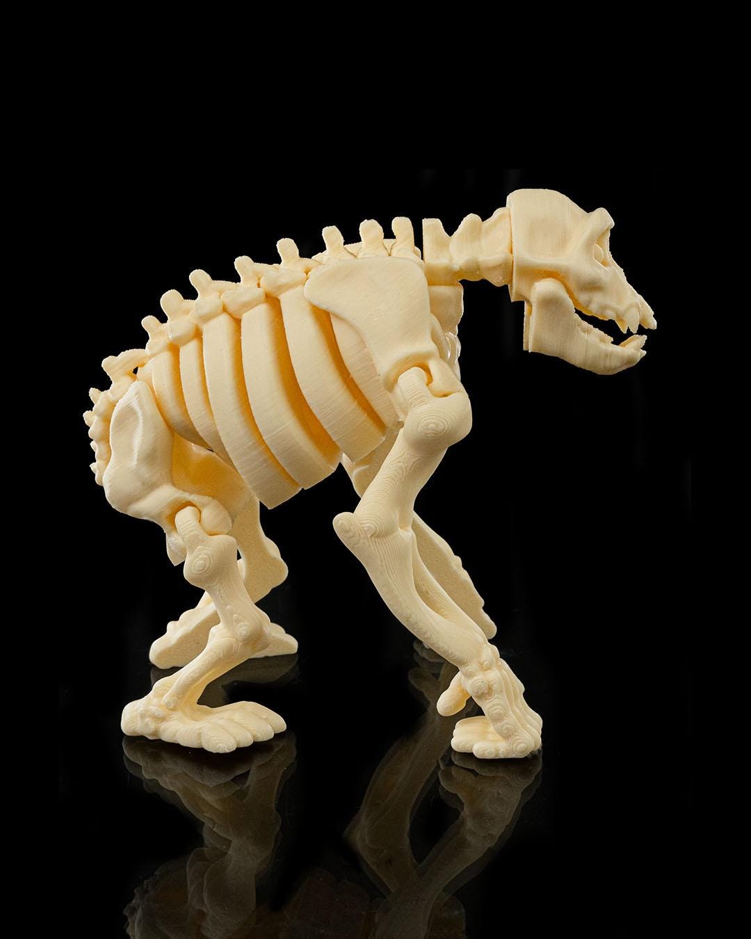 Chimpanzee Skeleton 3D Printed Articulated Toy, Keychain Skeleton Home ...