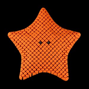 3D Printed Bat Sea Star – Articulated Sensory Toy & Ocean-themed Decor ...