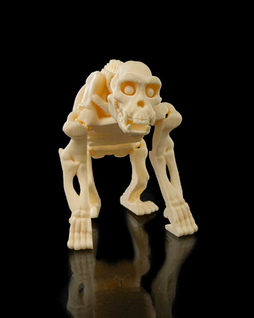 Chimpanzee Skeleton 3D Printed Articulated Toy, Keychain Skeleton Home ...