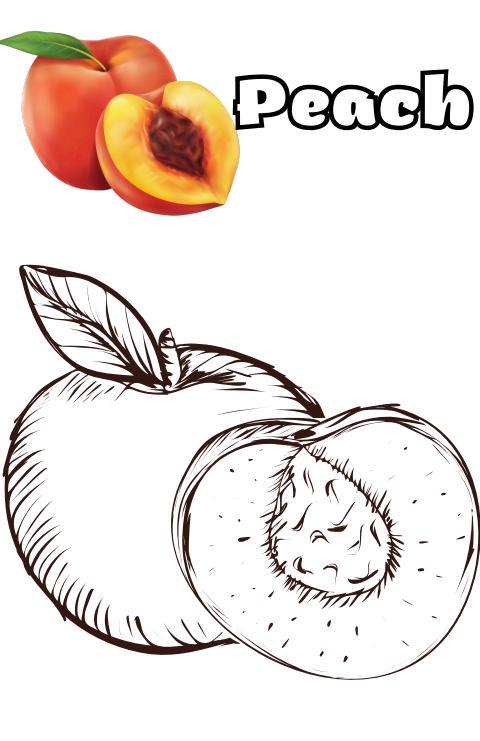 20 Fun Fruit Coloring Pages for Kids – Printable Digital Download ...