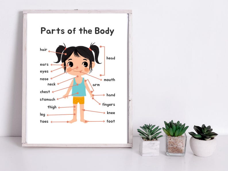 Human Body Parts Chart Educational Print for Kids Classroom Decor ...