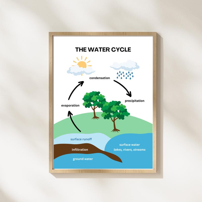 Water Cycle Poster - Etsy UK