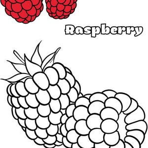 20 Fun Fruit Coloring Pages for Kids – Printable Digital Download ...