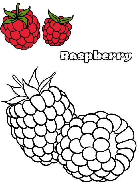 20 Fun Fruit Coloring Pages for Kids – Printable Digital Download ...