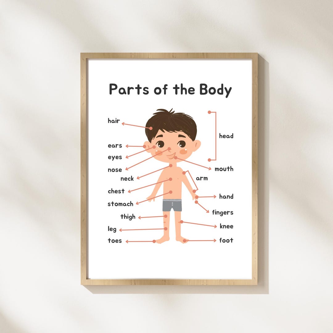 Human Body Parts Chart Educational Print for Kids Classroom Decor ...