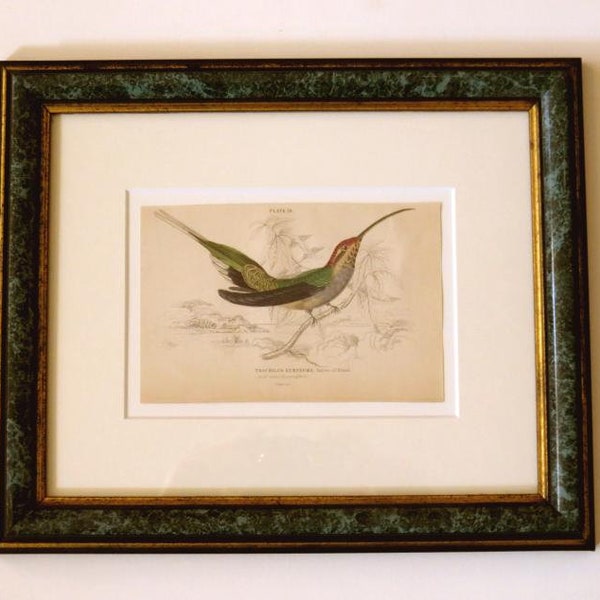 Bird Engraving - Etsy