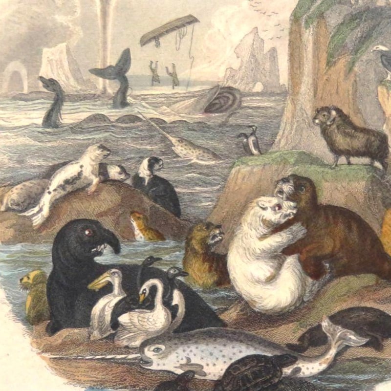 Small Etching Deer - Etsy