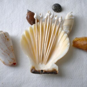 Shell Cocktail Toothpicks - Set of 50 - Beach Theme Party Picks - Beach ...
