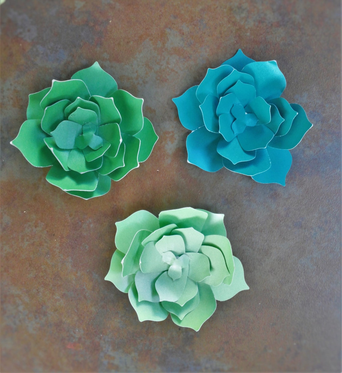 Paper Succulents Set of 5 - Etsy