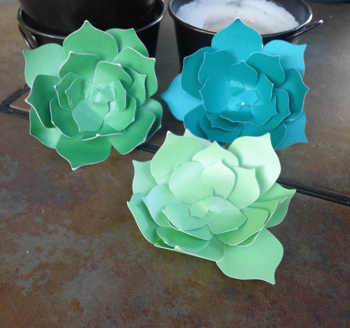 Paper Succulents Set of 5 - Etsy