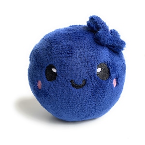 Kawaii Blueberry Plush: Embroidered Minky Stuffed Toy - Etsy