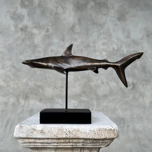 Hammerhead Tiger Shark on Stand - Bronze Marine Life Statue - Etsy