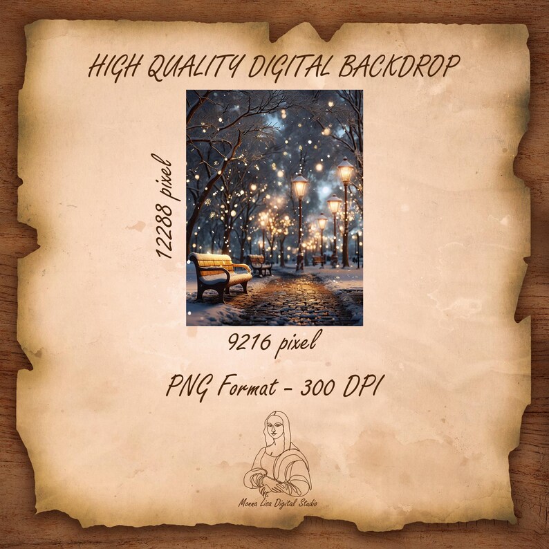 Winter Digital Background, Snowy Night Park Backdrop, Landscape ...