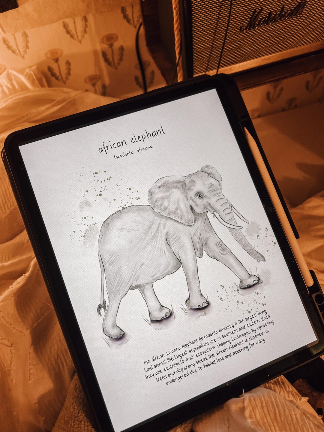 African Elephant Poster, Digital Download - Etsy