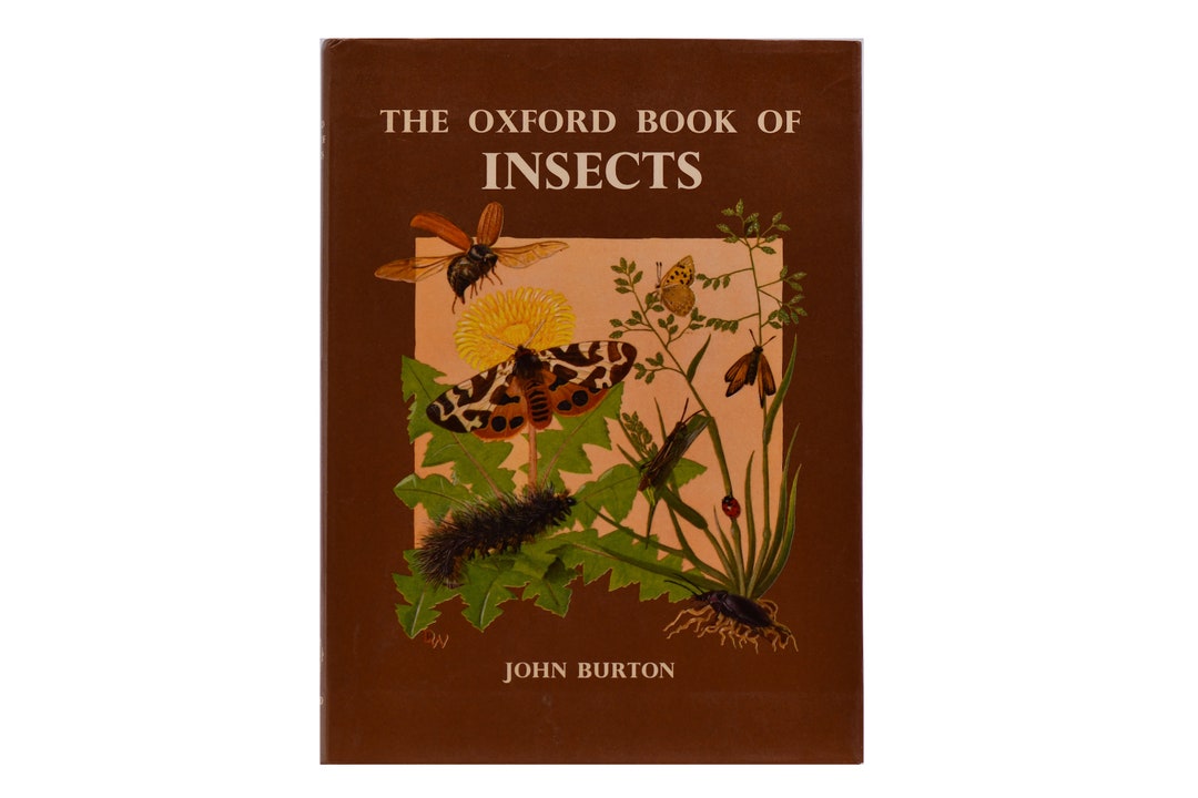 The Oxford Book of Insects - Etsy