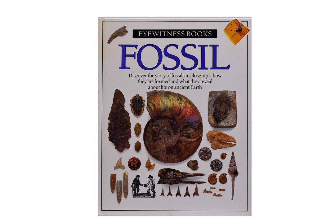 Eyewitness Book "fossil" by Paul D. Taylor, Ph.d, Vintage 1990 Book - Etsy