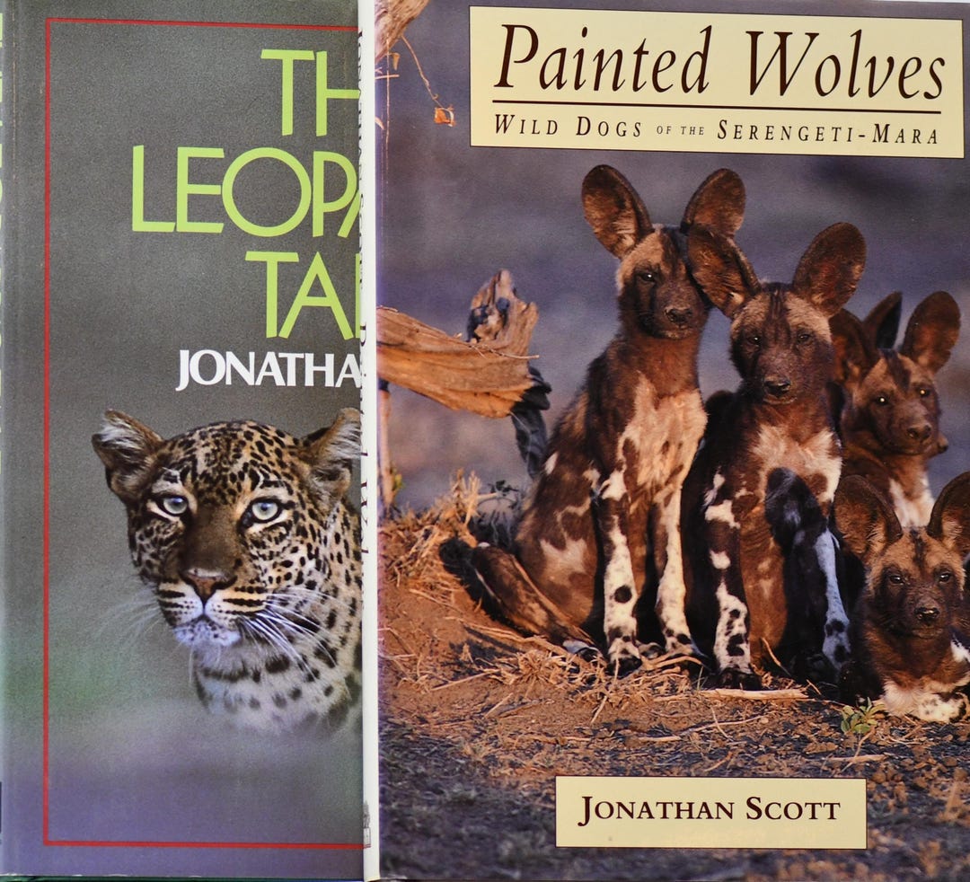 Jonathan Scott Wild Animals - Marsh Lions, Leopards, Painted Wolves ...