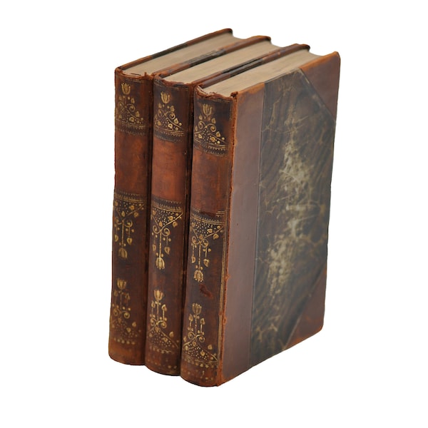 Antique Swift - Etsy