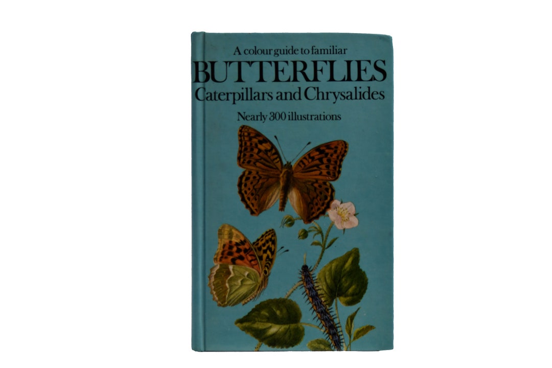 Butterflies Caterpillars and Chrysalides – A Color Guide to the ...