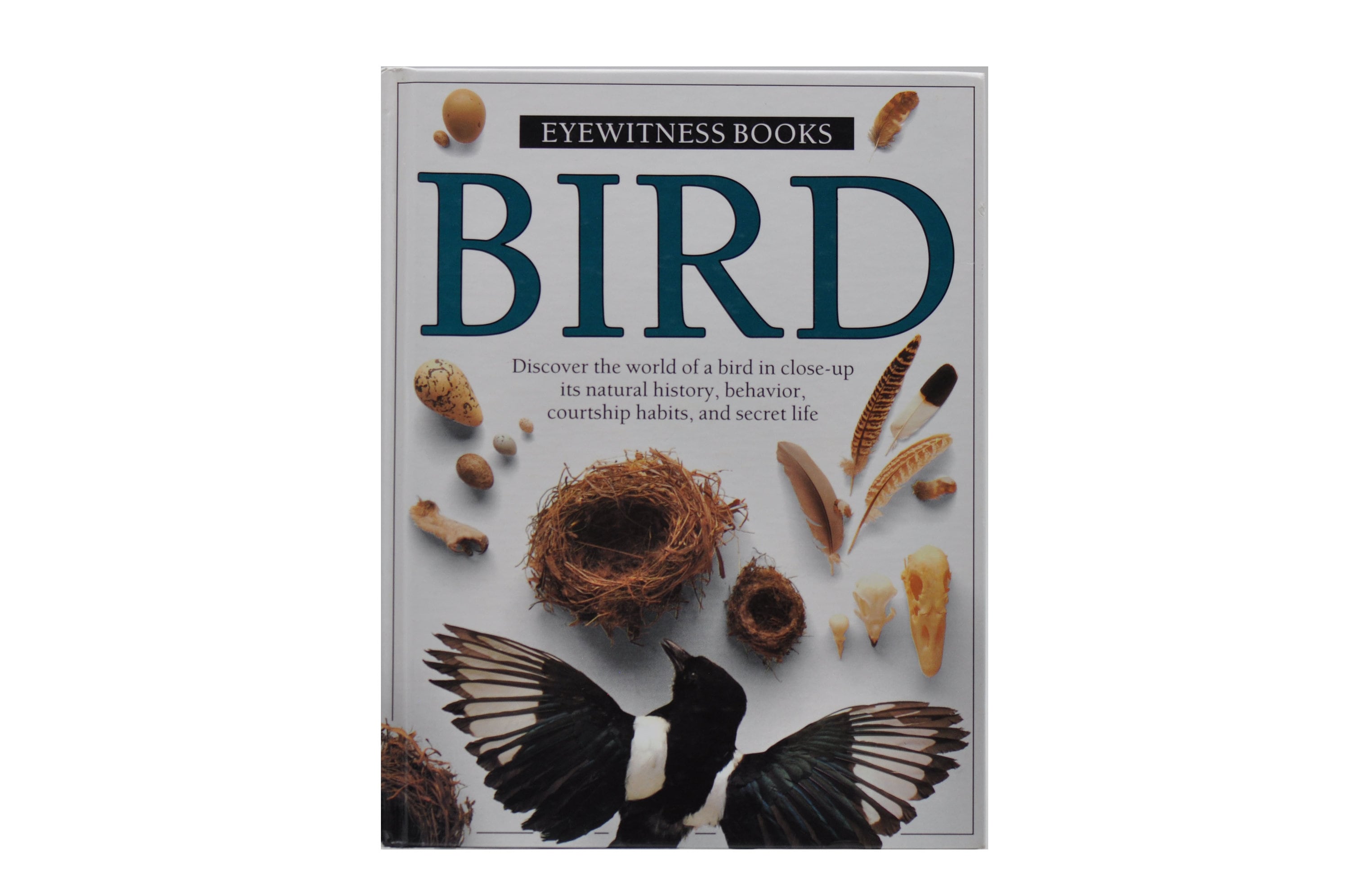 Eyewitness Book birds by David Burnie Vintage - Etsy