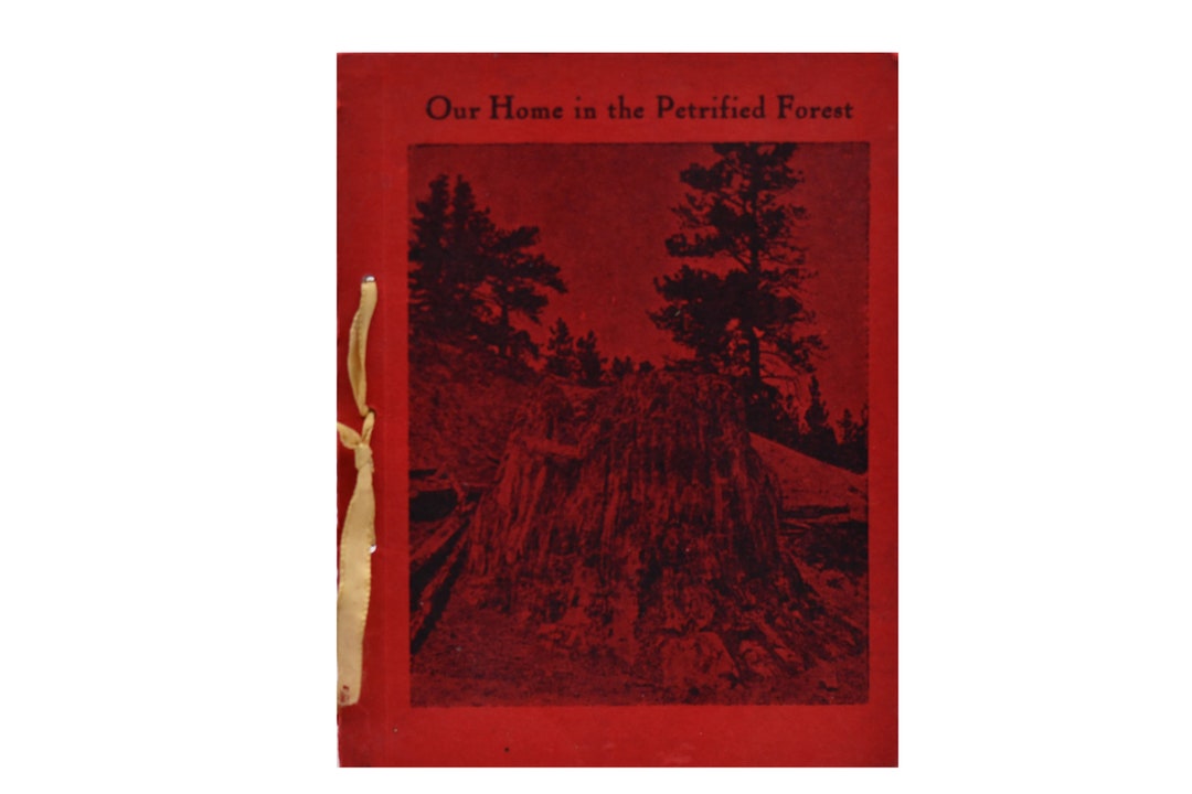 Vintage 1935 "our House in the Petrified Forest" Book, Signed First ...