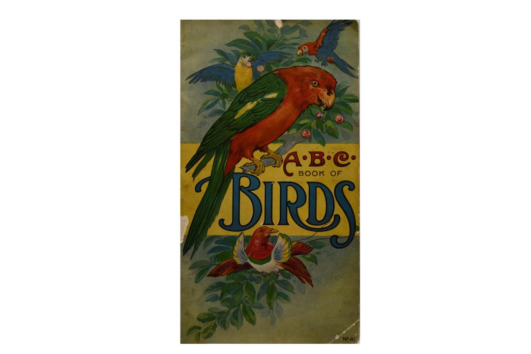 1916 Antique Children's ABC Bird Book: Illustrated Alphabet - Etsy