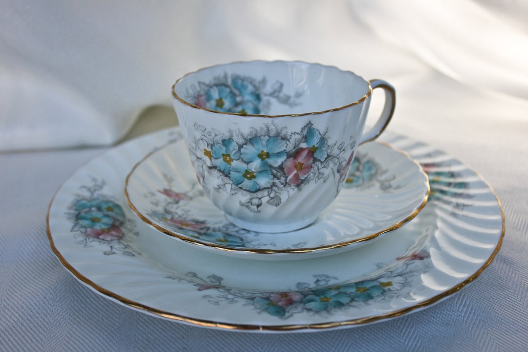 Aynsley Pink and Blue Flower Fluted Tea Cups and Plate Set of Eight ...