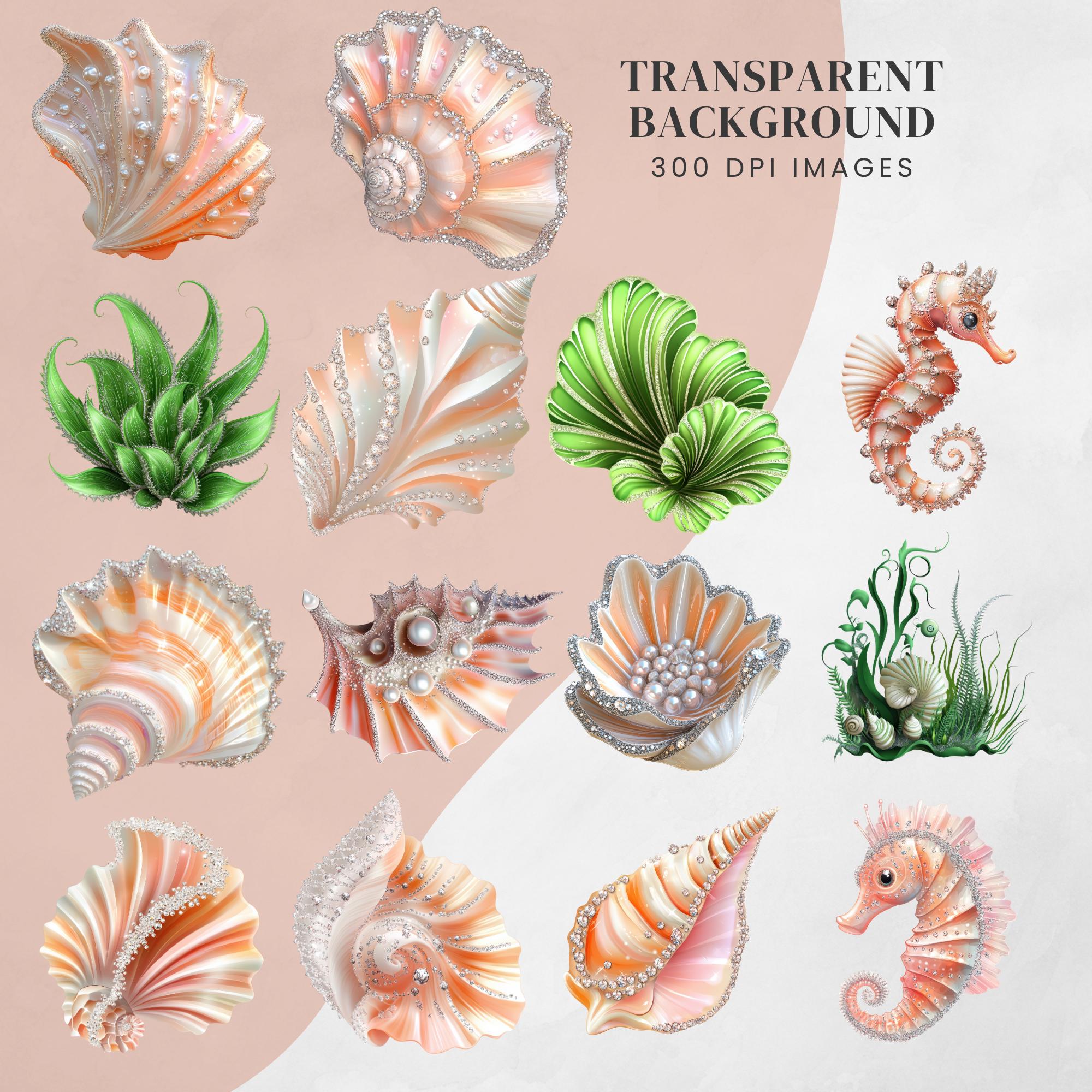 Seashell Clipart, Peach Sparkle Shells, Pearls, Sea Life, Plants, 300 ...