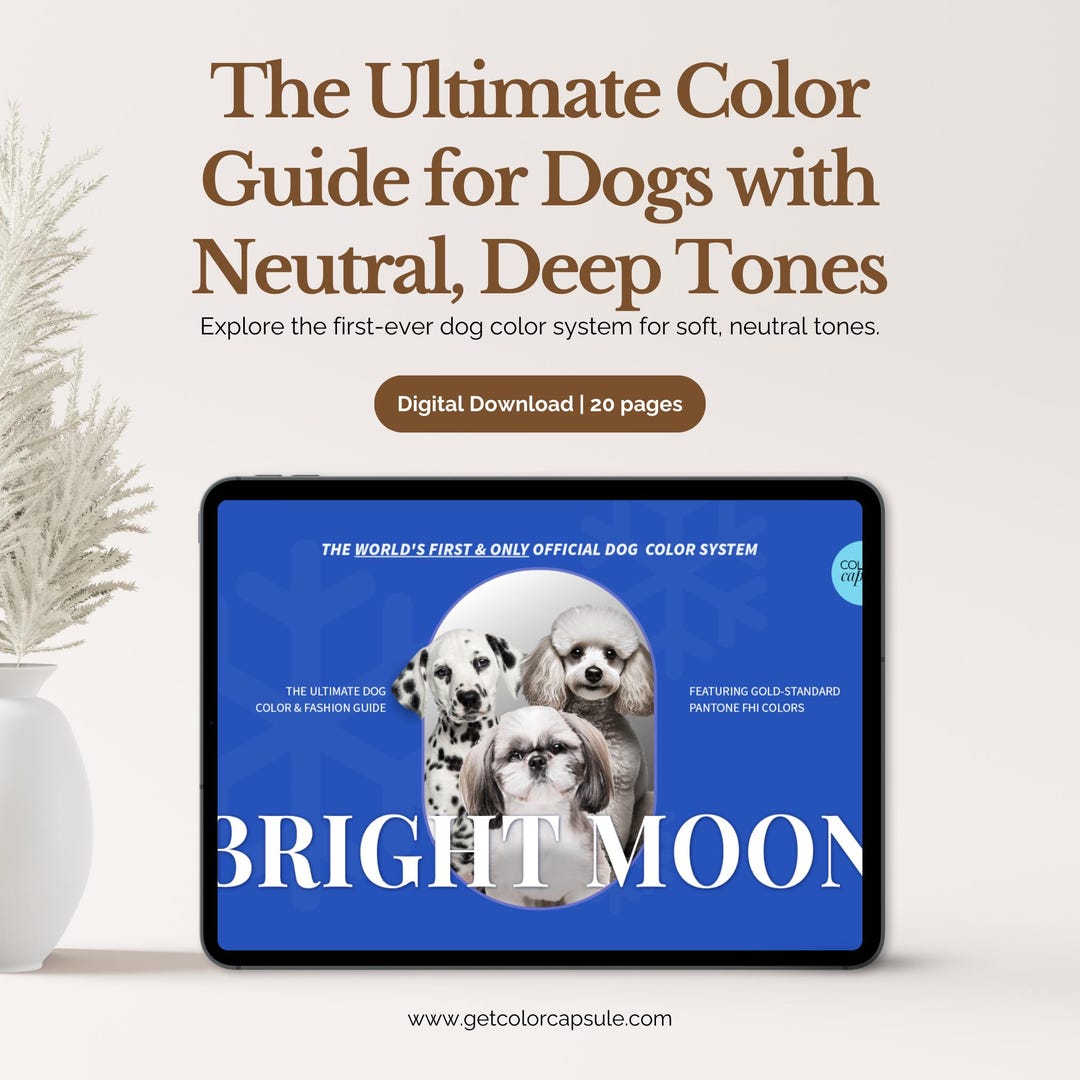 Digital Color & Style Guide for Bright and Cool Colored Dogs – Find the ...